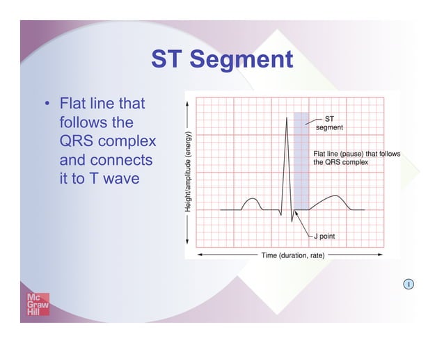 Shadechapter15.ppt [read only] | PDF