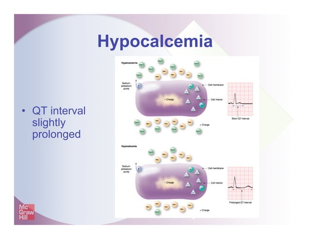 Shadechapter16.ppt [read only] | PPT
