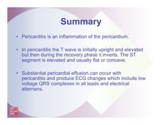 Shadechapter16.ppt [read only] | PPT