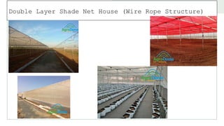 Shaded Net house agricultural greenhouse.pptx