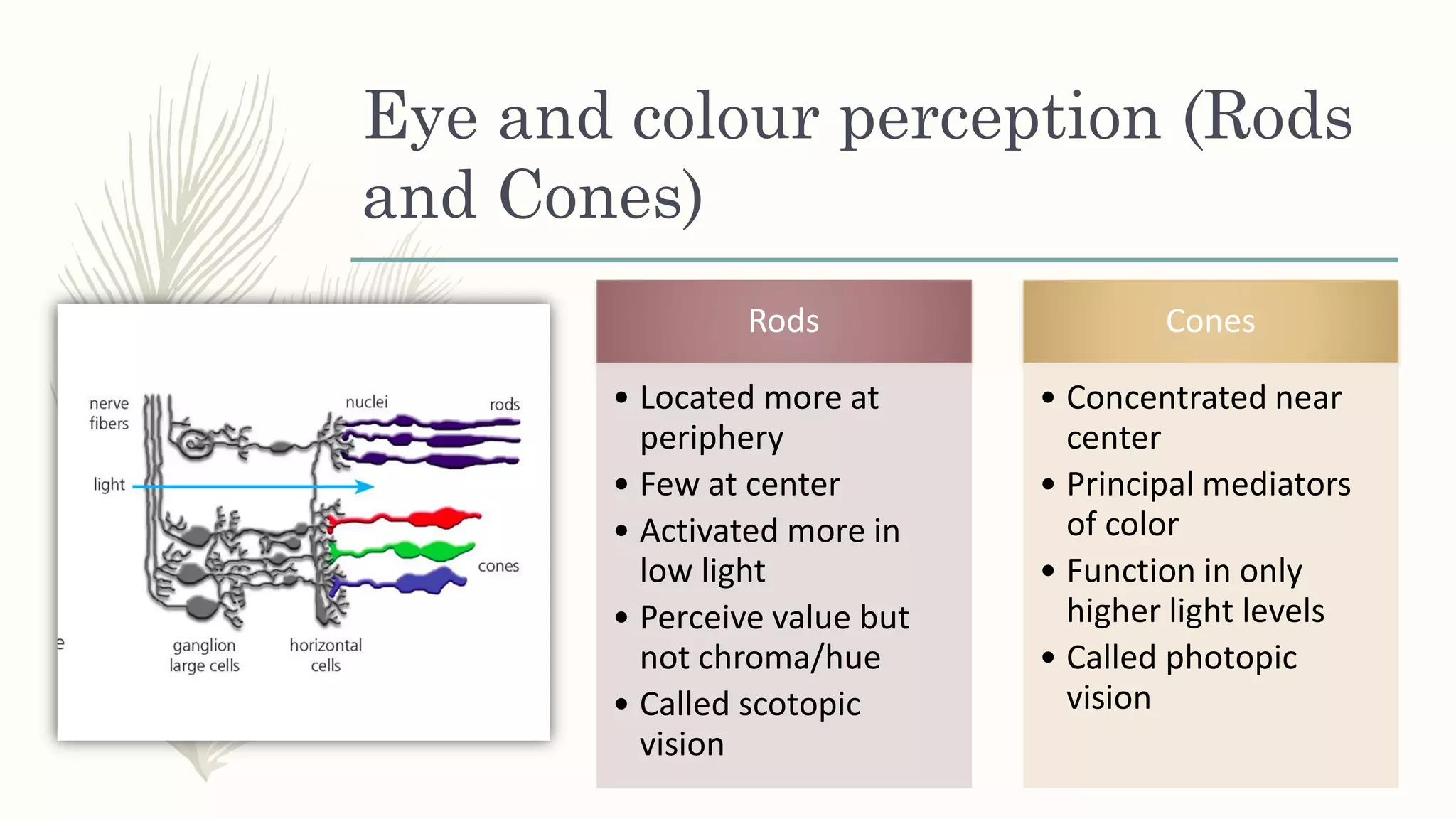 SHADE SELECTION IN ESTHETIC DENTISTRY.pdf