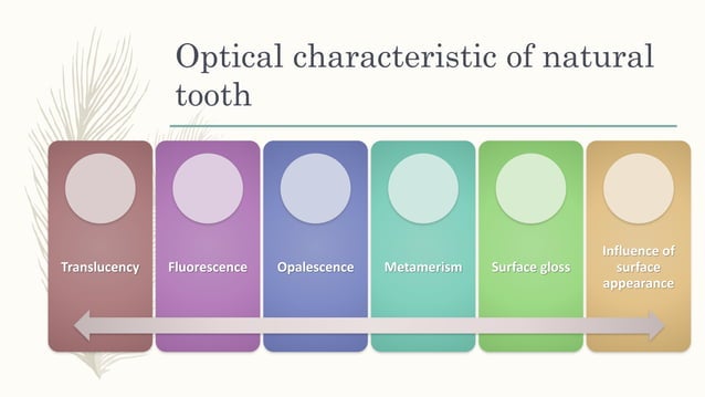 SHADE SELECTION IN ESTHETIC DENTISTRY.pdf