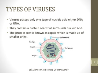 Shadgun(anti viral drugs) | PPTX