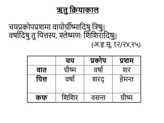 "Exploring the Subtle Realms: Understanding the Transformative Stages ...