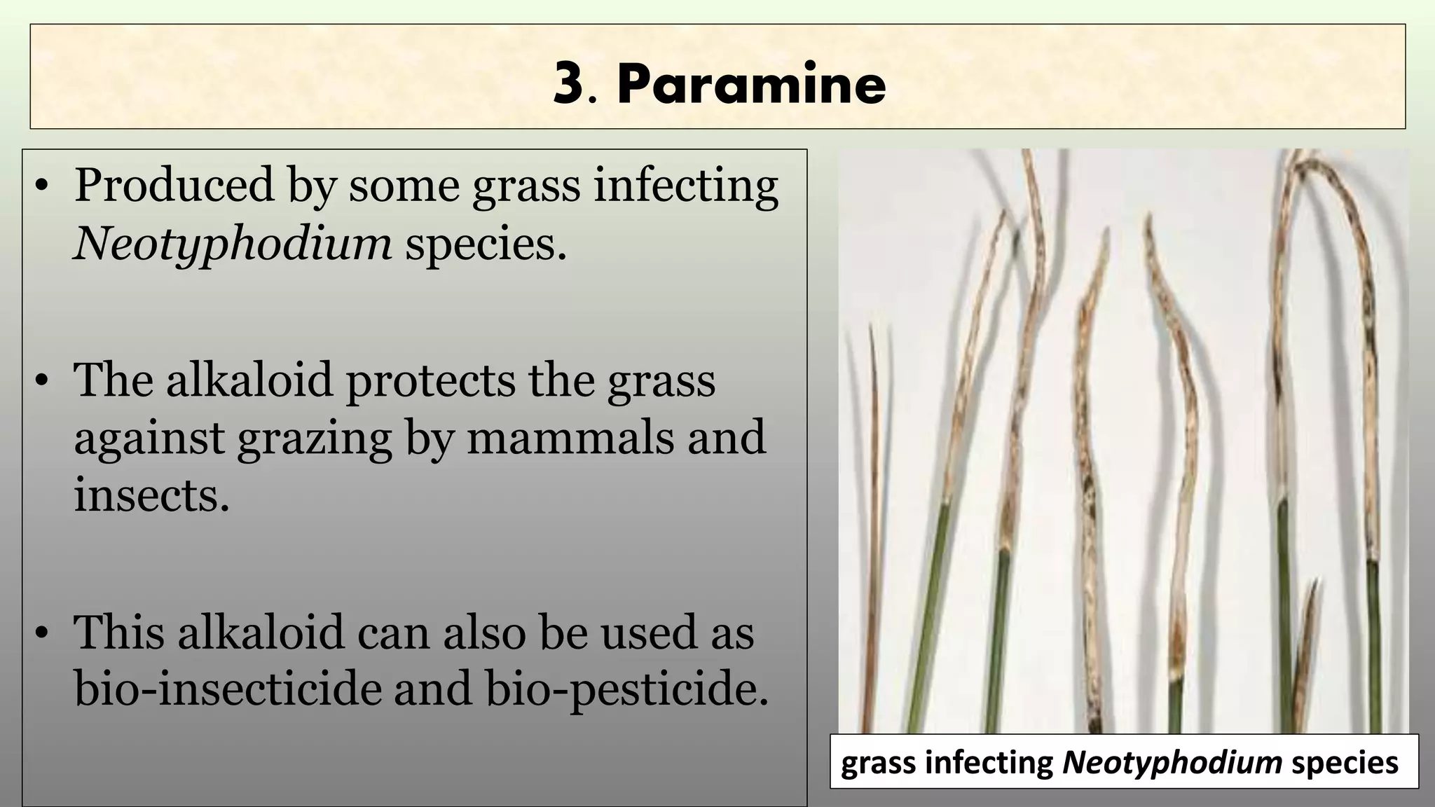secondary metabolites | PPTX