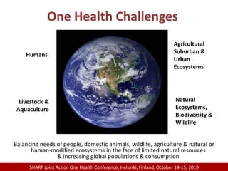 Sean V. Shadomy: FAO Activities Related to Multi-Sectoral Collaboration ...