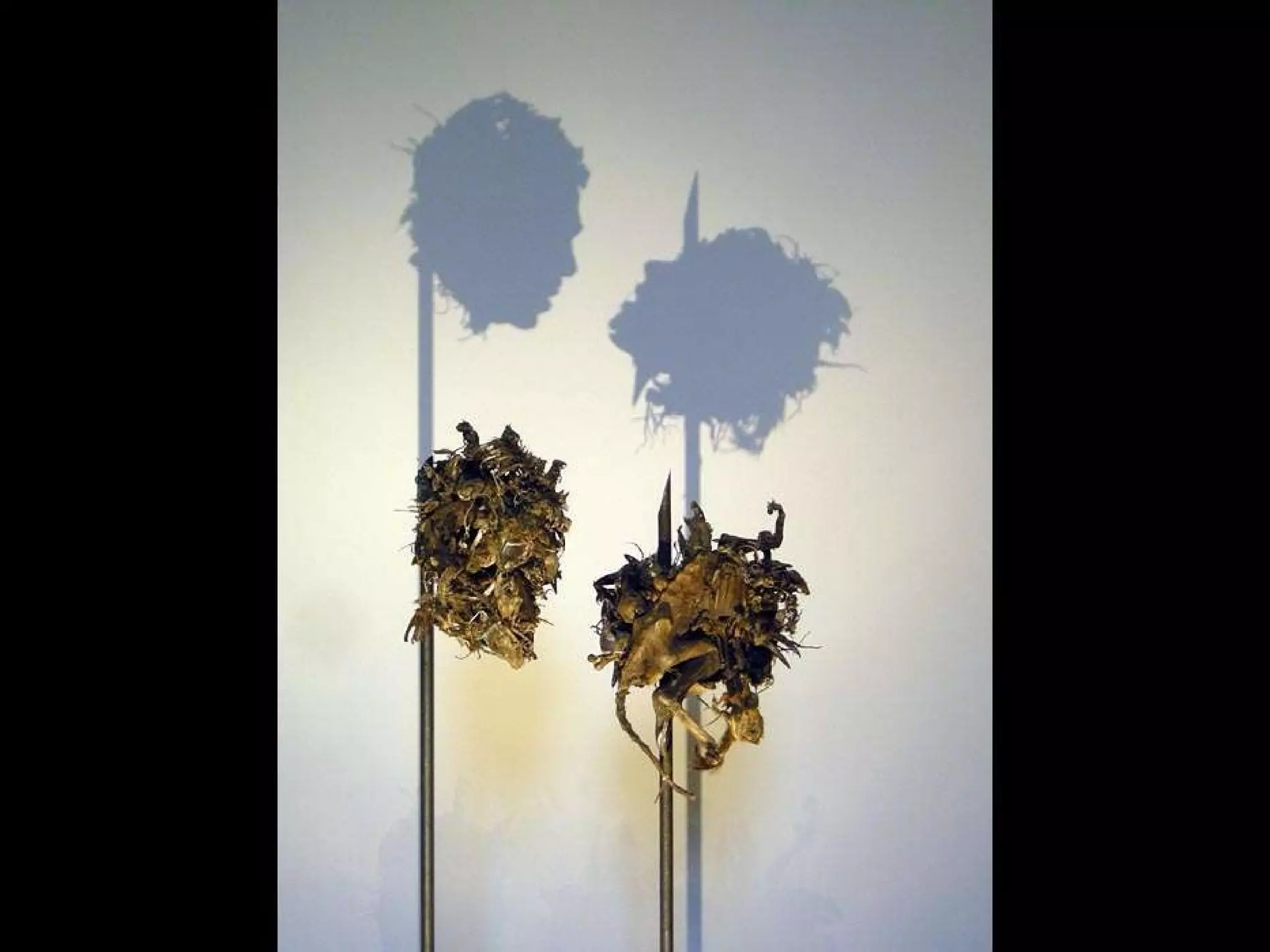 Shadow Art | PPS