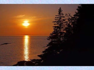 逆光摄影（Shadowgraph） | PPT