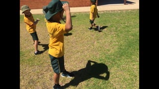 Shadow investigation | PPT