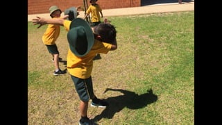 Shadow investigation | PPT