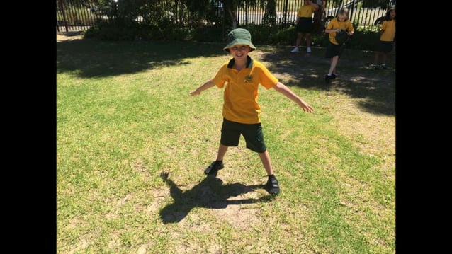 Shadow investigation | PPT