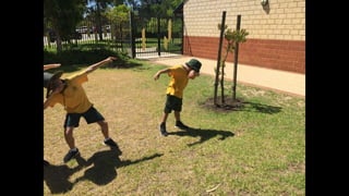 Shadow investigation | PPT