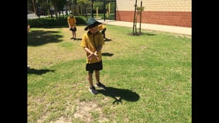 Shadow investigation | PPT