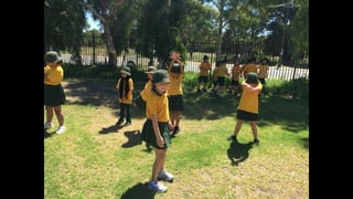 Shadow investigation | PPT