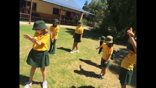 Shadow investigation | PPT