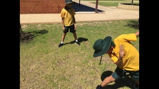 Shadow investigation | PPT