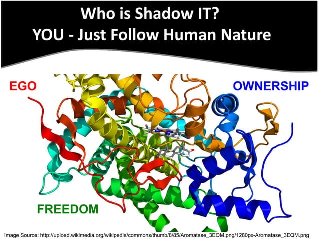 Shadow IT Risk and Reward | PPTX