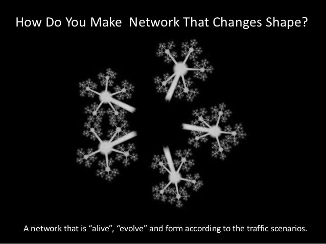 Concept of Shadow Network