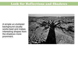 shadows-and reflections.pdf