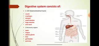 Prepared by: Shafaq Mutlaq | PDF