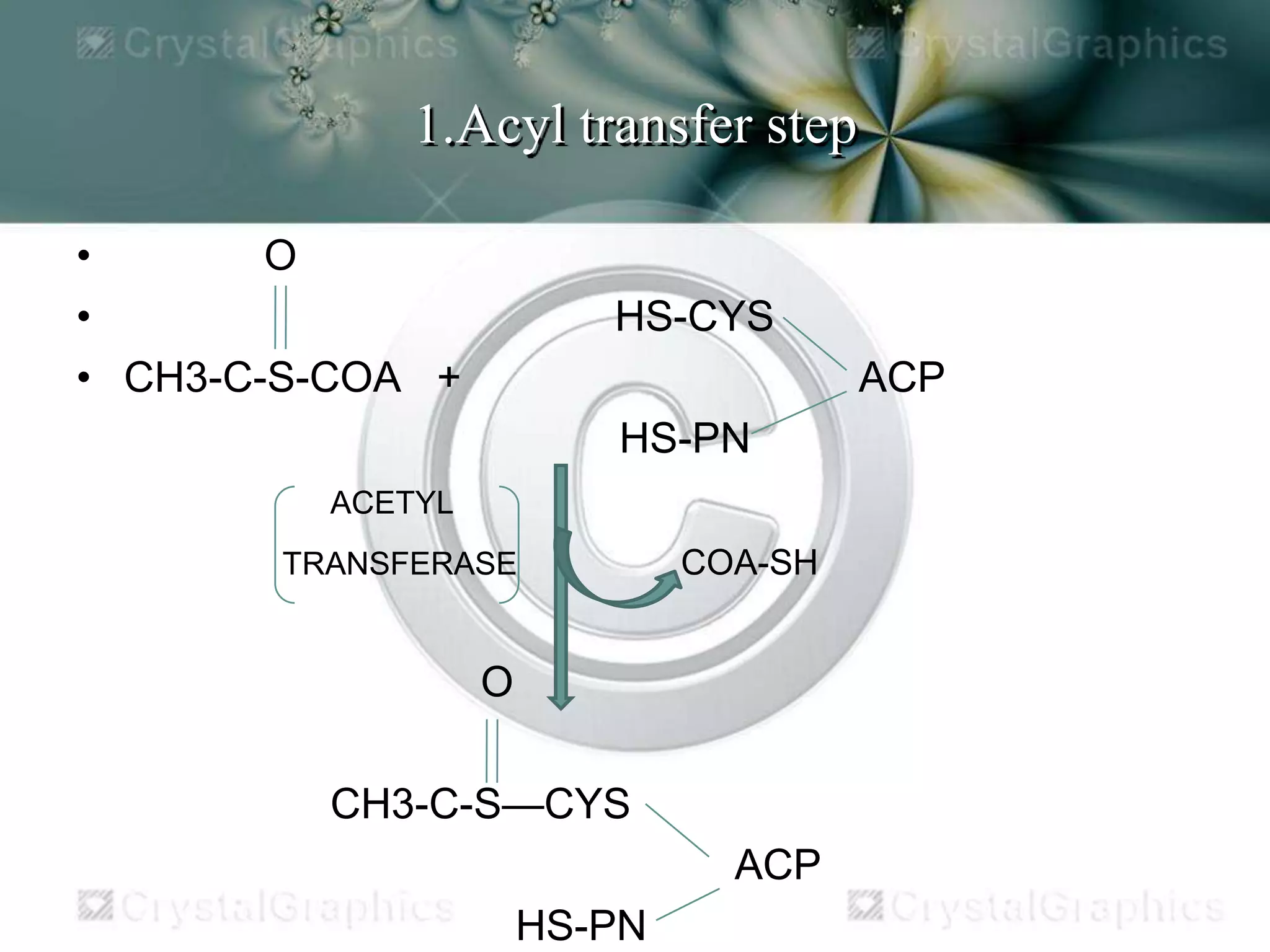 Multi enzyme complex | PPTX