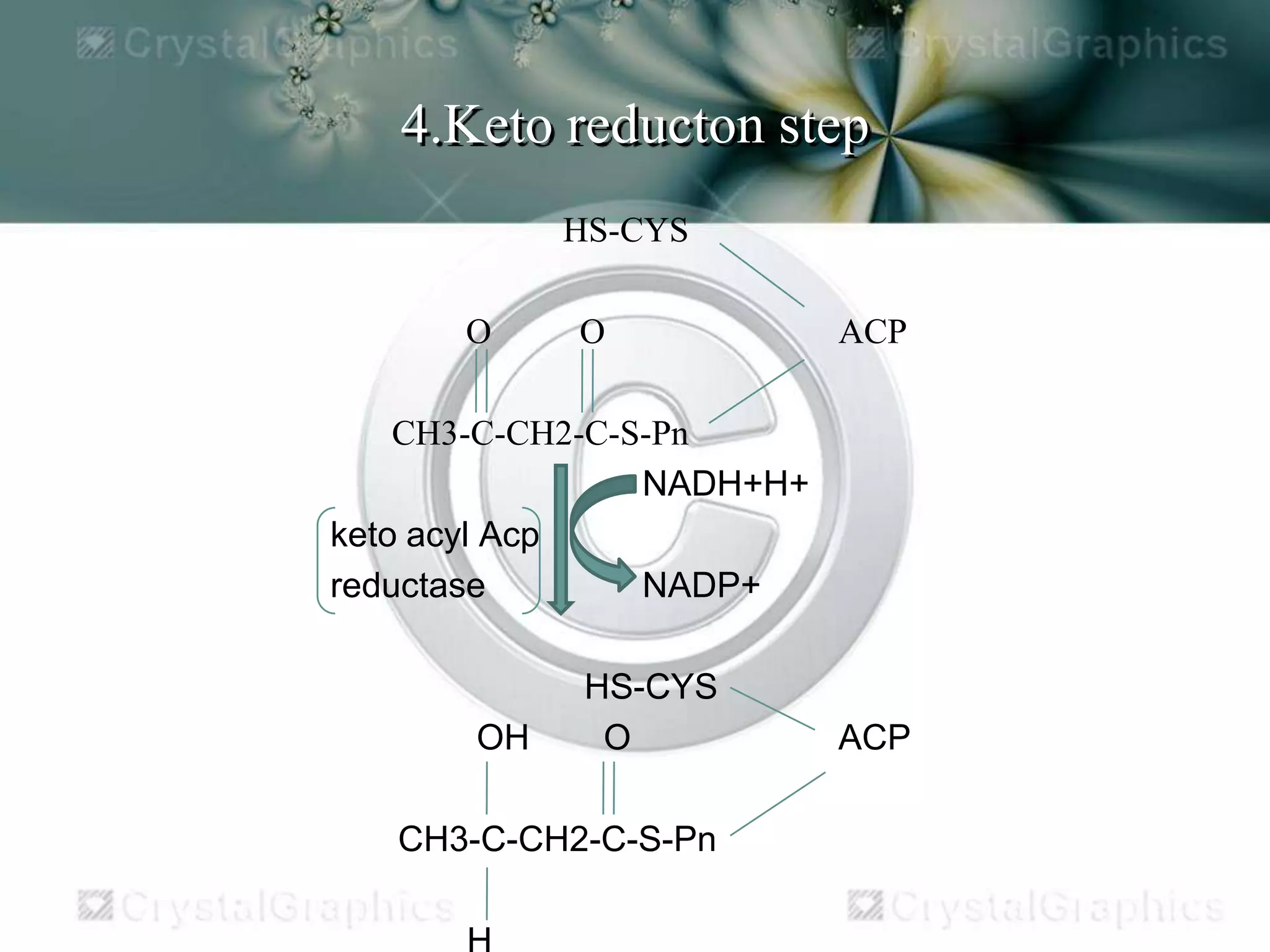 Multi enzyme complex | PPTX