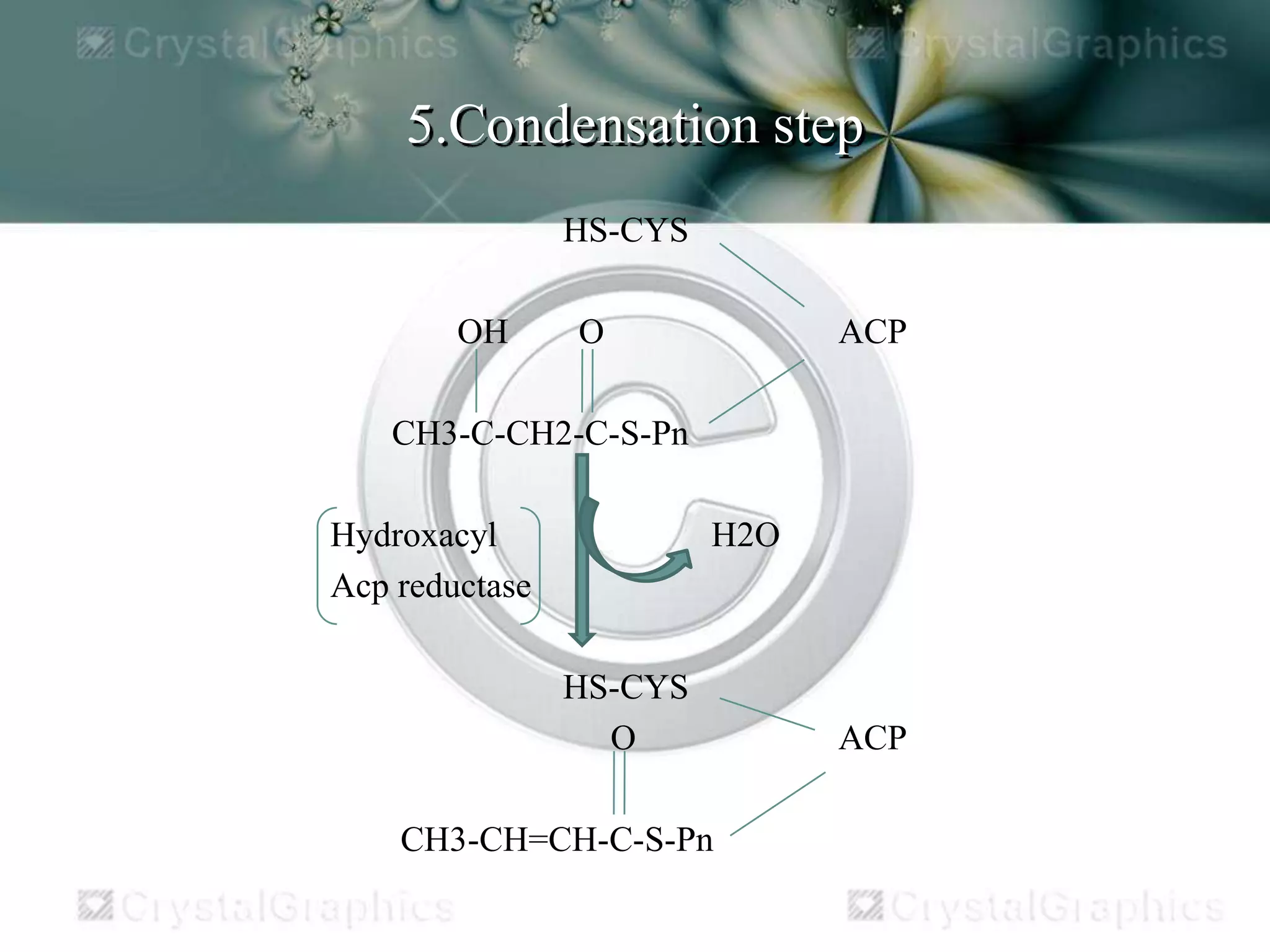 Multi enzyme complex | PPTX