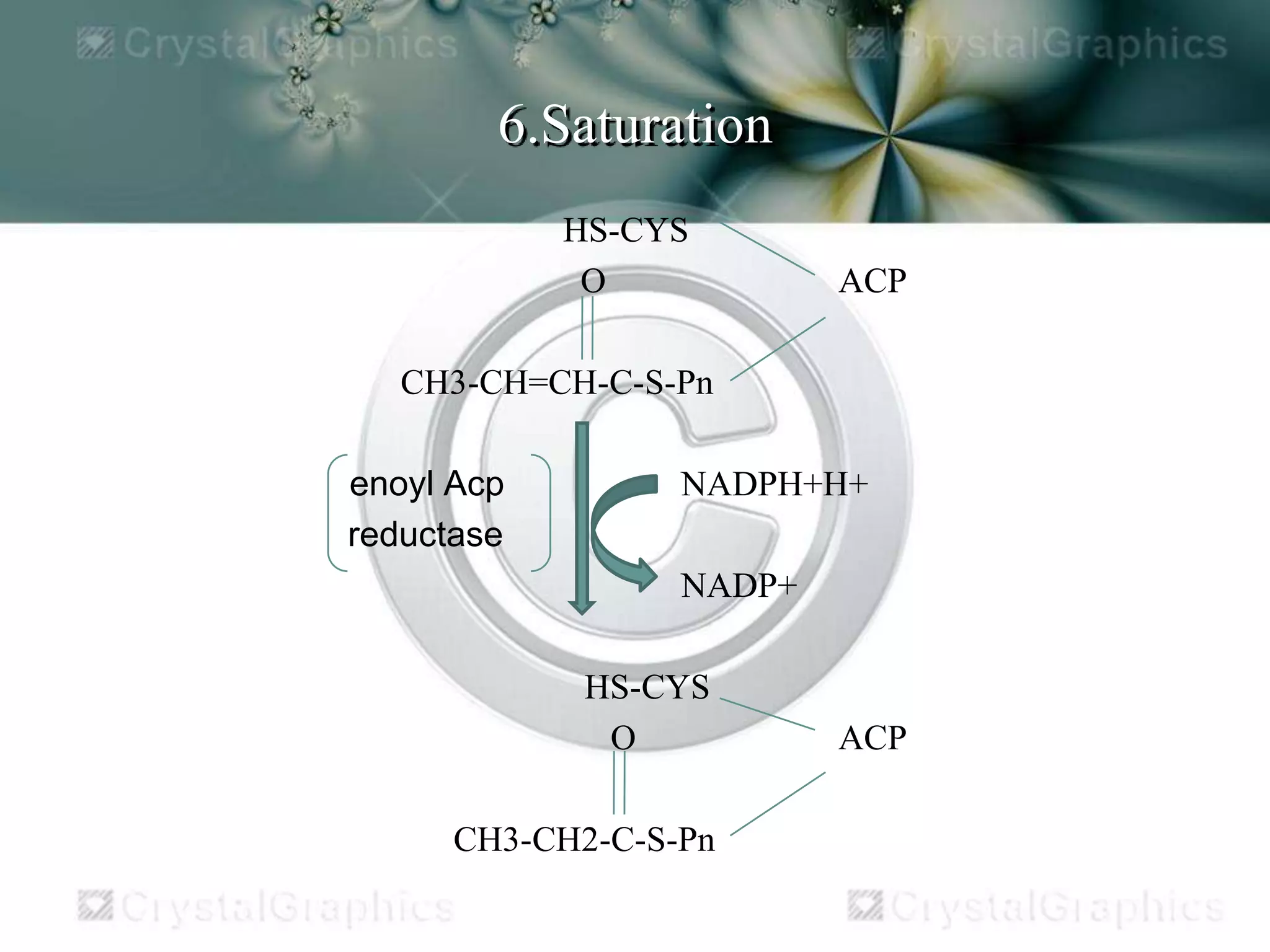 Multi enzyme complex | PPTX