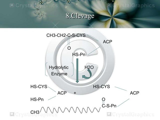 Multi enzyme complex | PPTX | Chemistry | Science