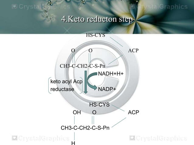 Multi enzyme complex | PPTX | Chemistry | Science