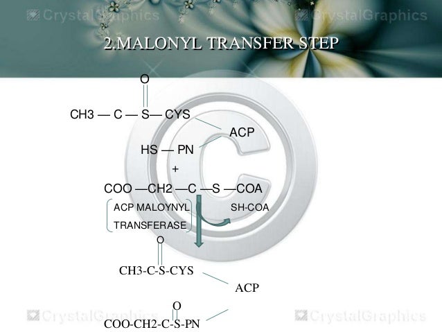 Multi Enzyme Complex