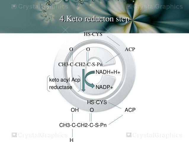 Multi Enzyme Complex