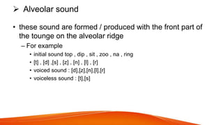 Place of articulation | PPT