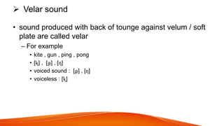 Place of articulation | PPT