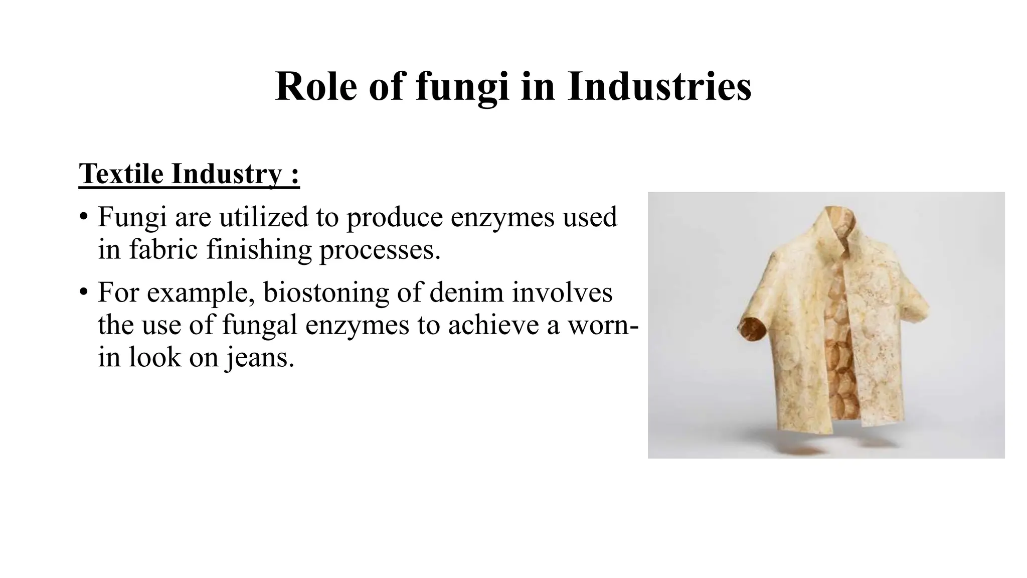 Shah Alam 23MSB10005 Role of fungi in Industries.pptx