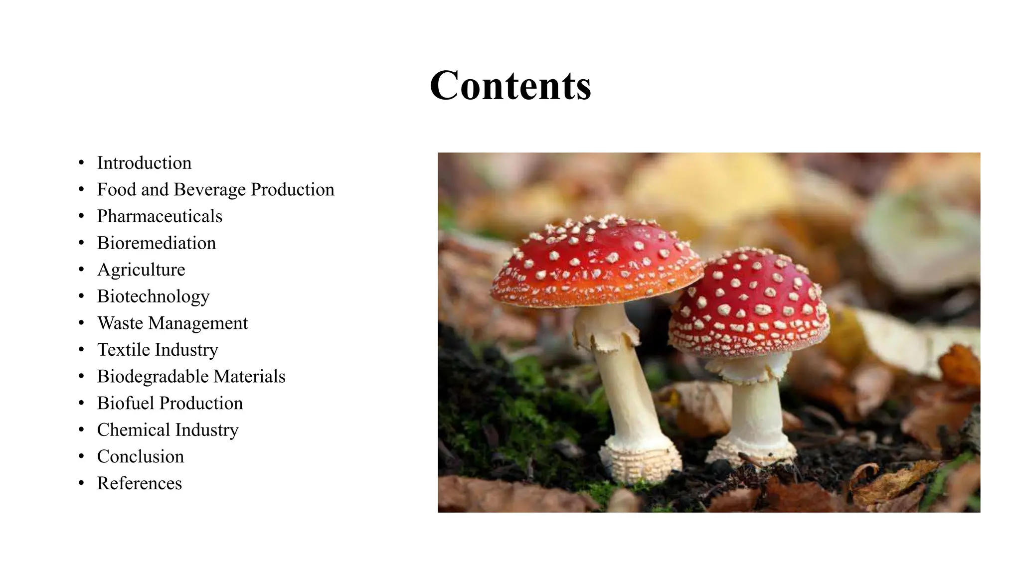 Shah Alam 23MSB10005 Role of fungi in Industries.pptx