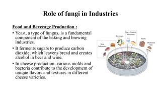 Shah Alam 23MSB10005 Role of fungi in Industries.pptx