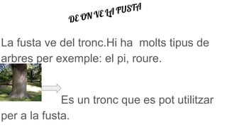 La fusta | PPT