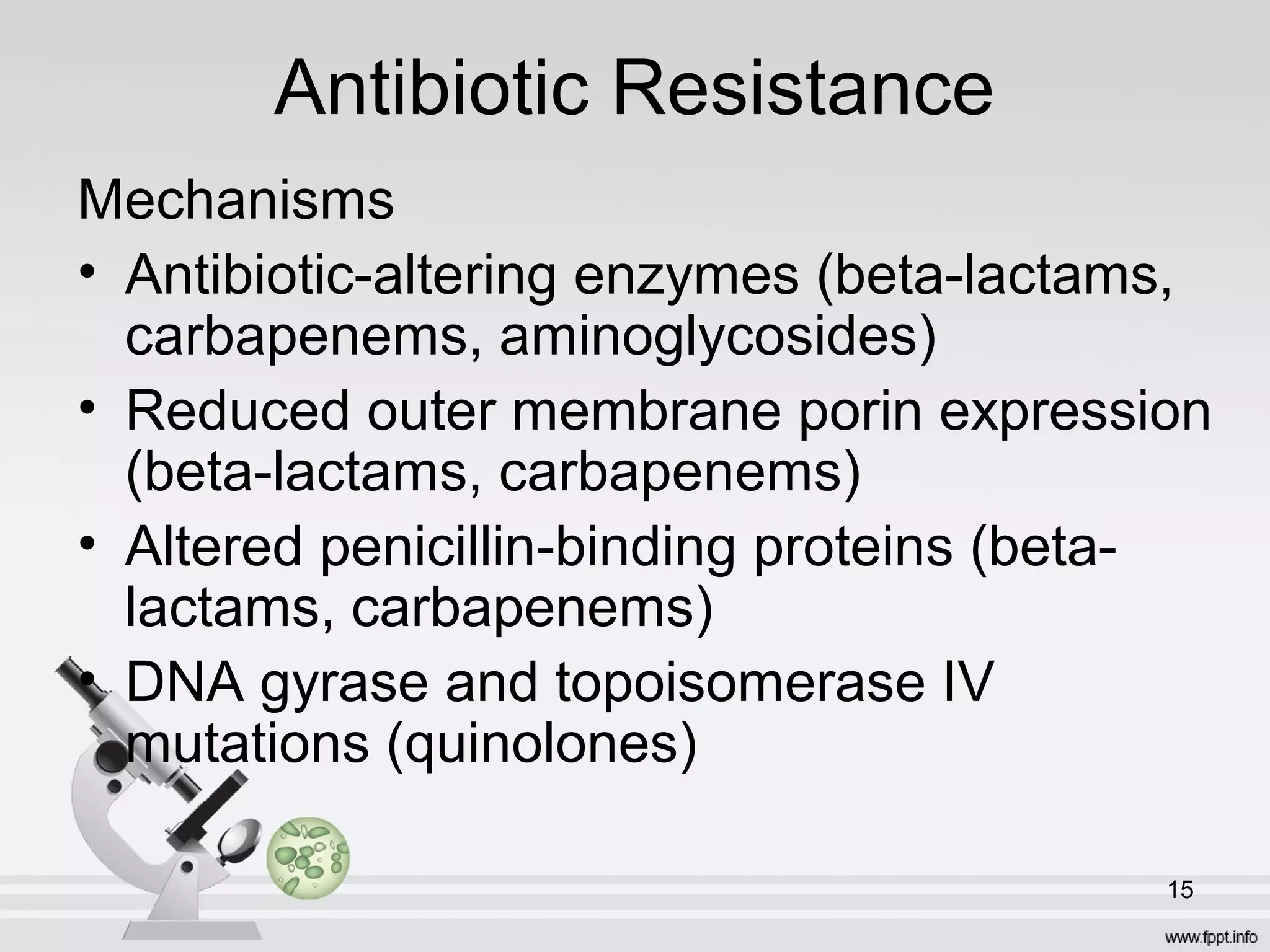 Acinetobacter | PPT