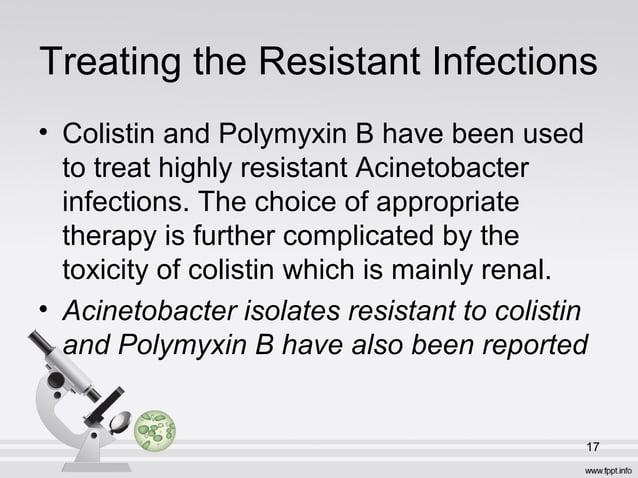 Acinetobacter | PPT | Infectious Diseases | Diseases and Conditions