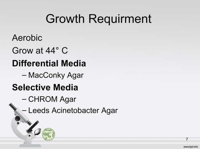 Acinetobacter | PPT | Infectious Diseases | Diseases and Conditions