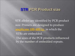 Shahbaz Str | PPT