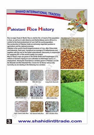 Rice Shaheen Rice | PDF