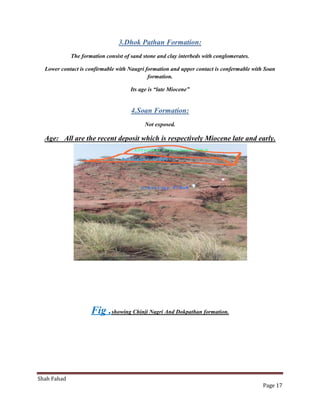 Shah fahad report(Salt range) | PDF
