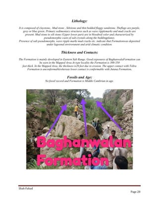Shah fahad report(Salt range) | PDF