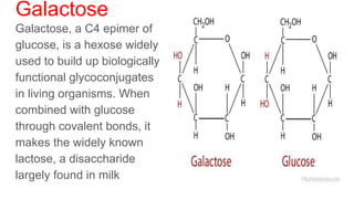 SHAHID KHAN AZMI GROUP 04 (4).pdf