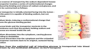 SHAHID KHAN AZMI GROUP 04 (4).pdf
