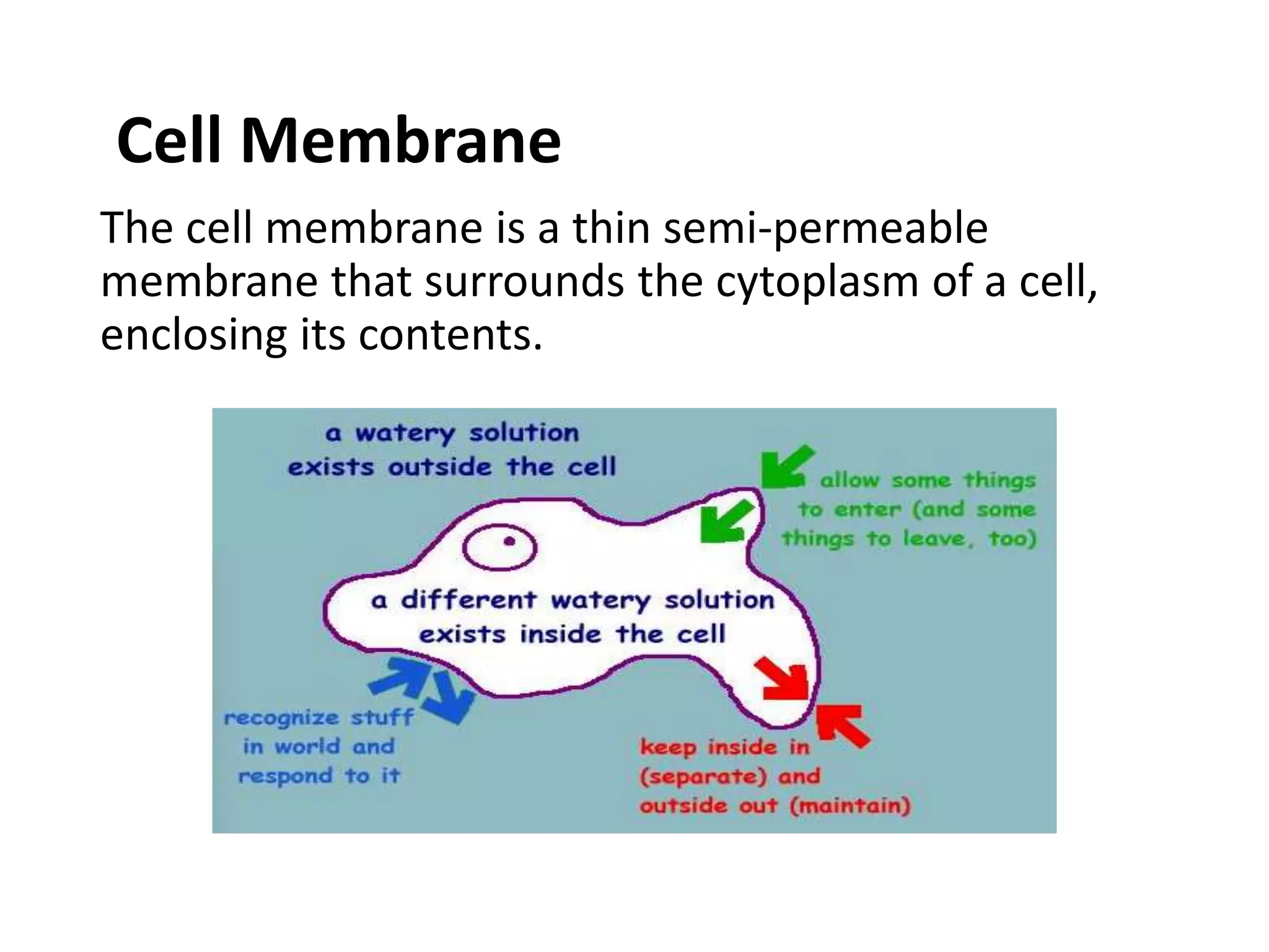 Cell membrane physiology and pharmacology | PPTX