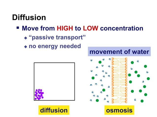 Cell membrane physiology and pharmacology | PPTX | Biological Sciences ...
