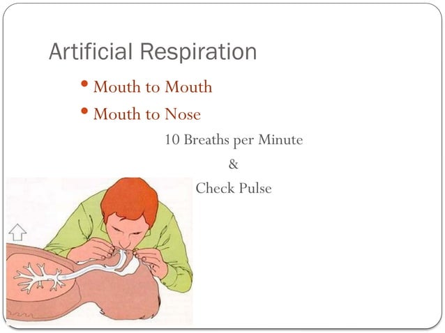 Basics of first-aid - History and evaluation .pptx